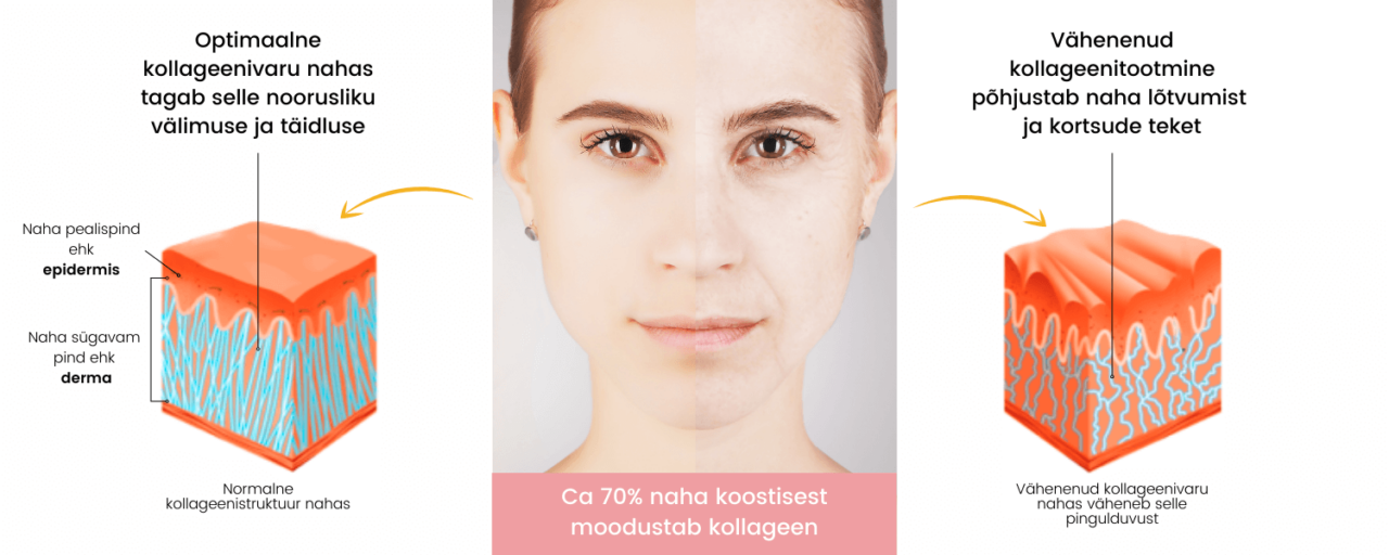 Dr.OHHIRA® KOLLAGEEN + | Dr.OHHIRA®